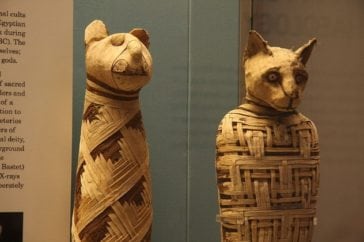10 Facts About Ancient Egyptian Mummies You Didn't Know - Listverse