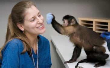10 Bizarre Helper Animals You Don't See Every Day - Listverse
