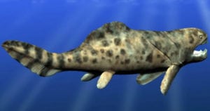 10 Facts About 'Dunkleosteus' That Will Keep You Up At Night - Listverse