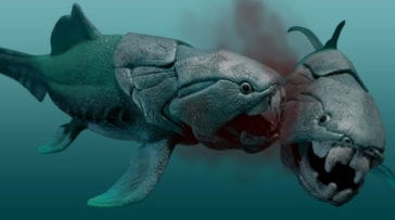 10 Facts About 'Dunkleosteus' That Will Keep You Up At Night - Listverse