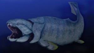 10 Facts About 'Dunkleosteus' That Will Keep You Up At Night - Listverse