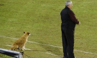 10 Uplifting Stories To Get You Through The Week (9/16/18) - Listverse