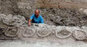 Top 10 Scientific And Historical Facts About Bees - Listverse