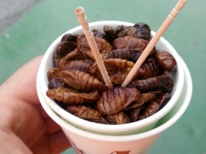 10 Worldwide Insect Delicacies - Listverse