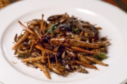 10 Worldwide Insect Delicacies - Listverse
