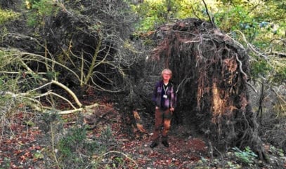 Top 10 Facts And Mysteries From The Mesolithic Era - Listverse