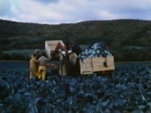 10 Dark Facts About The Incestuous Goler Clan - Listverse