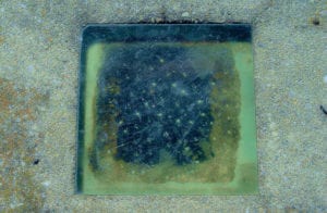 10 Fabulous Graves (Almost) Worth Dying For - Listverse