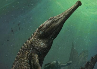 10 Little-Known Prehistoric Beasts With Incredible Claims To Fame ...