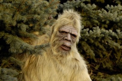 10 Weird Historical North American Monster Sightings - Listverse