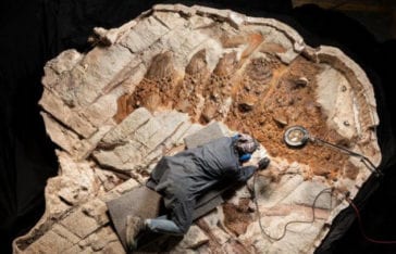 10 Ancient Creatures With Badass Facts And Features - Listverse