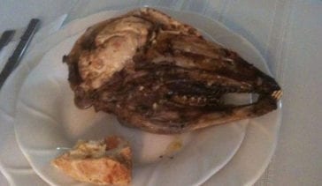 10 Bizarrely Edible Organs - Listverse