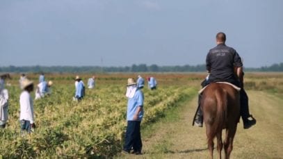 10 Shocking Facts About Angola Prison and Its Violent Past - Listverse
