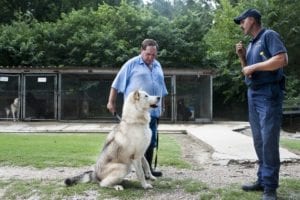 10 Shocking Facts About Angola Prison and Its Violent Past - Listverse