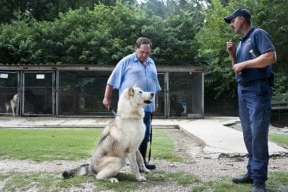 10 Shocking Facts About Angola Prison and Its Violent Past - Listverse