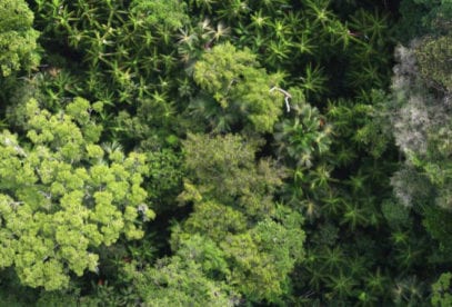 10 'Natural' Things You Won't Believe Are Actually Man-Made - Listverse