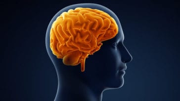 10 Reasons To Believe We Have Aquatic Ape Ancestors - Listverse