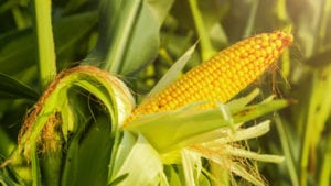 10 'Natural' Things You Won't Believe Are Actually Man-Made - Listverse