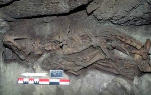 10 Amazing Mummified Animals We Have Found - Listverse