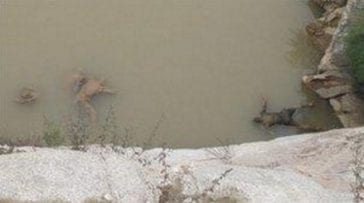 10 Popular Tourist Attractions Filled With Human Remains - Listverse