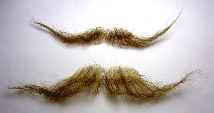 10 Unbelievable Facts About Cowboy Bob - Listverse