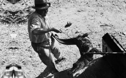 10 Chilling Facts About The Alligator Man - Listverse