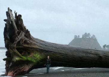 Top 10 Unusual Shoreline Finds - Listverse