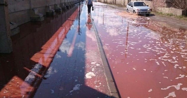 10 Catastrophes Caused By Food - Listverse