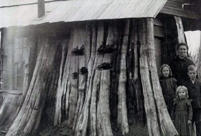 10 People Who Have Lived In A Tree - Listverse