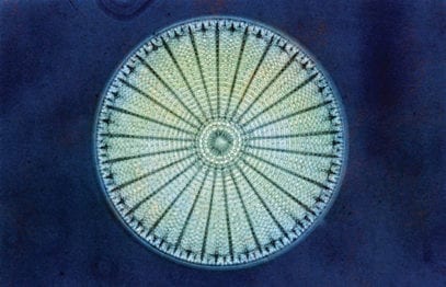 10 Remarkable Uses For Silicon - Listverse