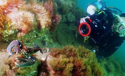 Top 10 Unusual Facts Involving Chalk - Listverse