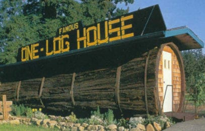 10 People Who Have Lived In A Tree - Listverse