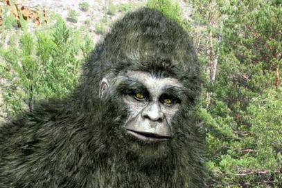 10 Yeti Reports Involving More Than Footprints - Listverse