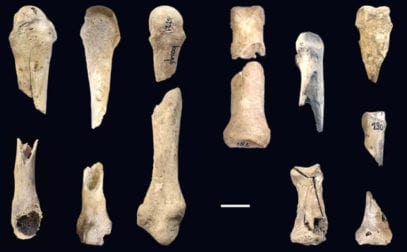 Top 10 Rare Archaeological Finds From France - Listverse