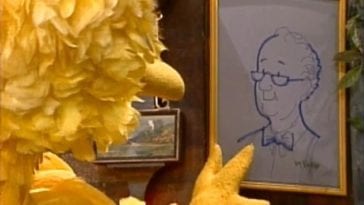 10 Crazy Facts About Big Bird - Listverse