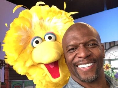 10 Crazy Facts About Big Bird - Listverse