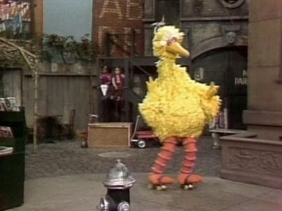 10 Crazy Facts About Big Bird - Listverse