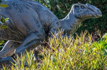 10 Diseases That Affected Dinosaurs - Listverse