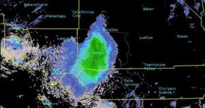 Top 10 Rare Quirks Found In Nature - Listverse