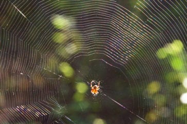 10 Unusual Studies With Fascinating Results - Listverse