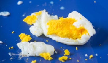 10 Unusual Facts And Finds Involving Eggs - Listverse