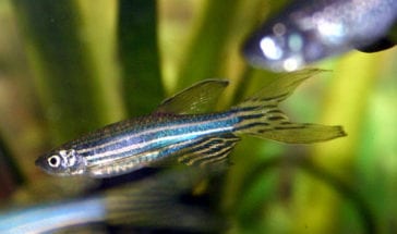 Fascinating Facts About Being Drunk - Listverse