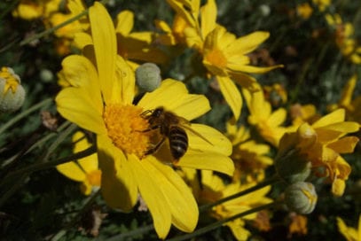 Top 10 Fascinating Facts Involving Numbers - Listverse