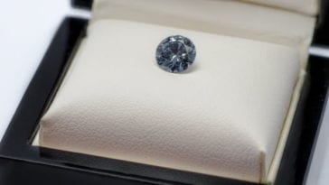 Top 10 Ways To Dispose Of Your Body After Death - Listverse