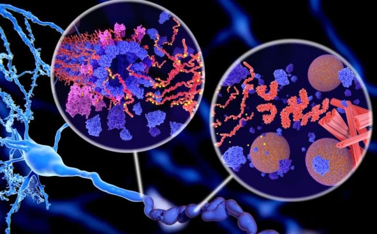 10 Frightening Facts About The Mysterious Deadly Prion Diseases - Listverse