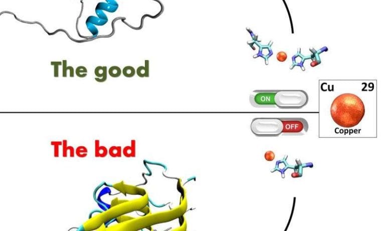 10 Frightening Facts About The Mysterious Deadly Prion Diseases - Listverse