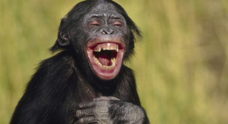 10 Fascinating Scientific Findings About Laughter - Listverse