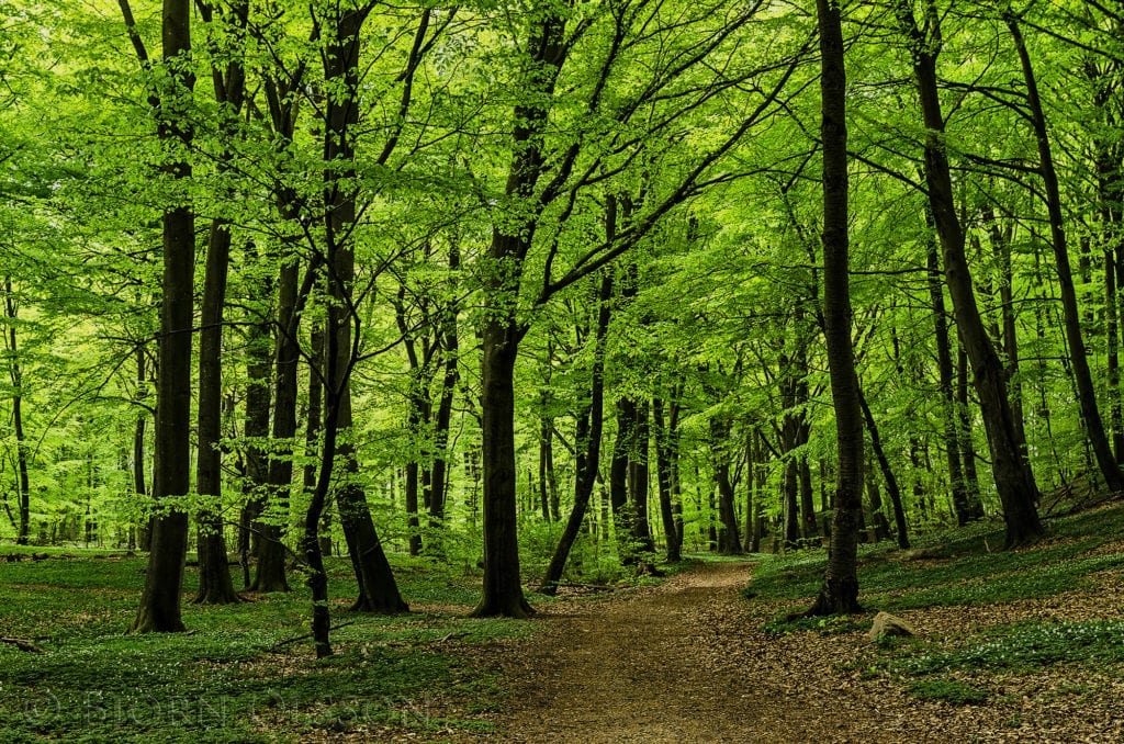 Top 10 Bizarre Things Doctors Prescribe Instead of Medicine - Listverse