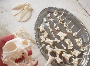 Top 10 Bizarre Magical Objects - Listverse