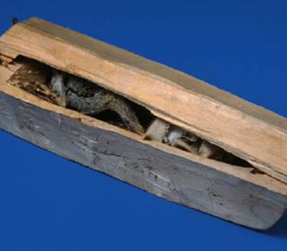 Top 10 Bizarre Magical Objects - Listverse